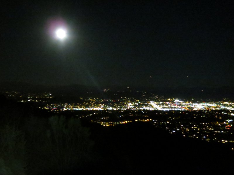 Cowles Full Moon Hike - Leash Your Fitness