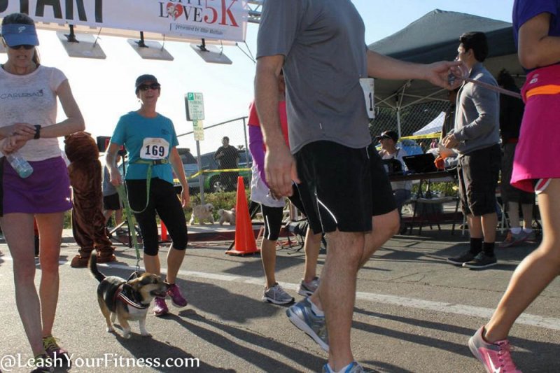 Doing a 5k with your dog - Leash Your Fitness