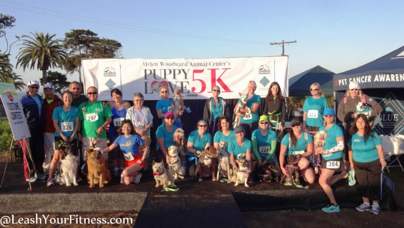 Doing a 5k with your dog - Leash Your Fitness
