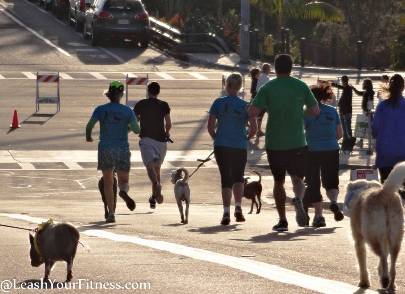 Doing a 5k with your dog - Leash Your Fitness