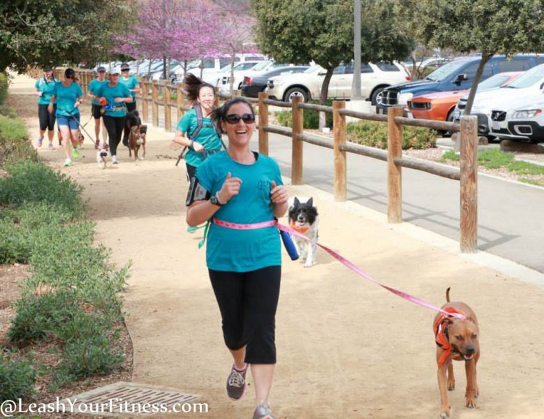 Doing a 5k with your dog - Leash Your Fitness