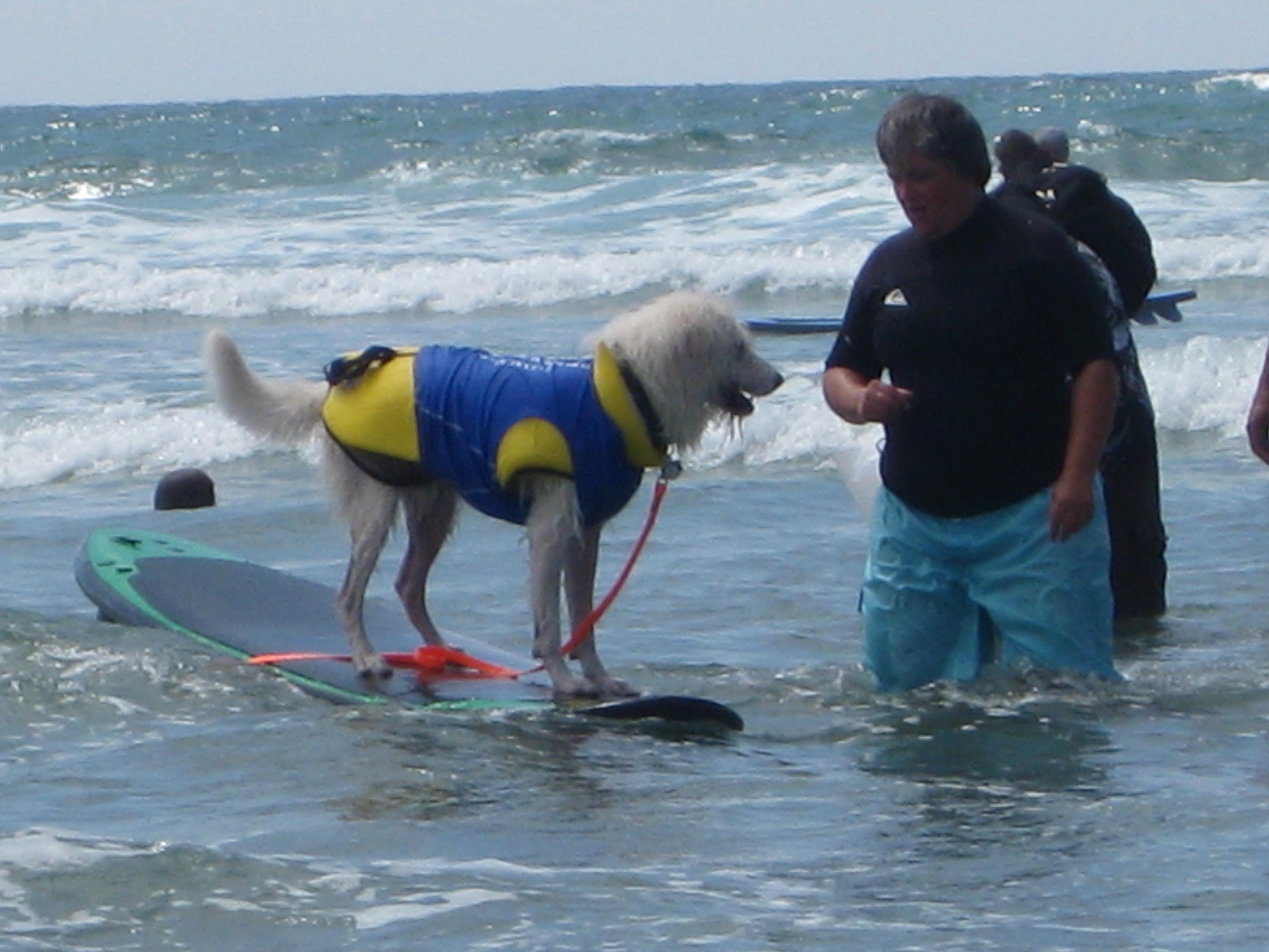Surf-A- Thon - Leash Your Fitness