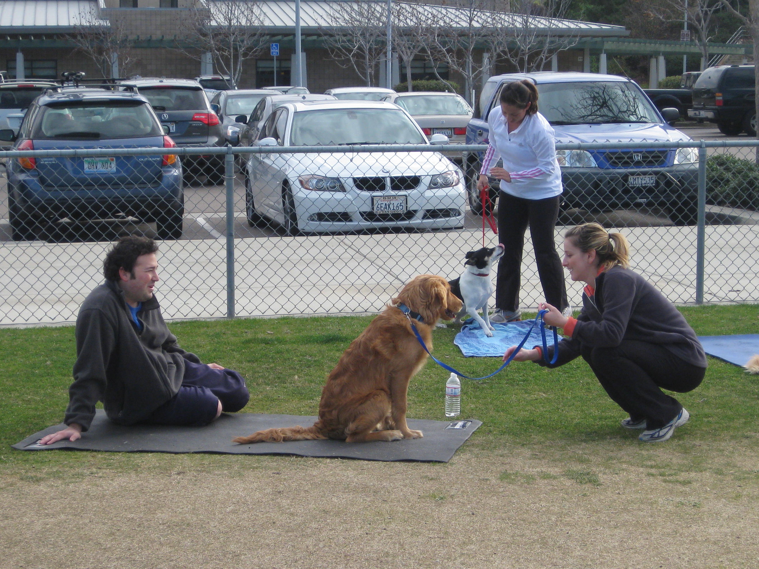 Practicing the "sit" command - Leash Your Fitness