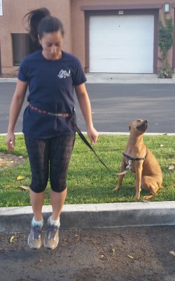 Multi-directional jumps - Leash Your Fitness